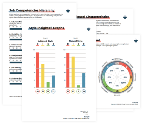 DISC - TTI Success Insights Chile 2025